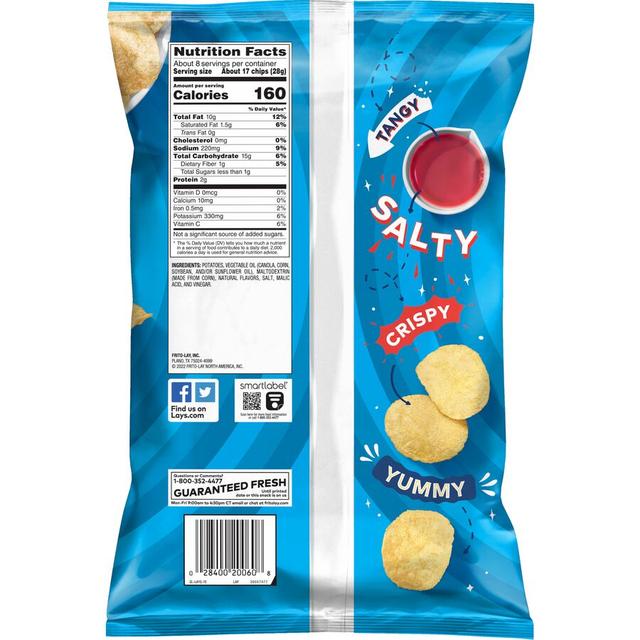 Lay's® Salt & Vinegar Flavored Potato Chips - Shop Now at Snacks.com